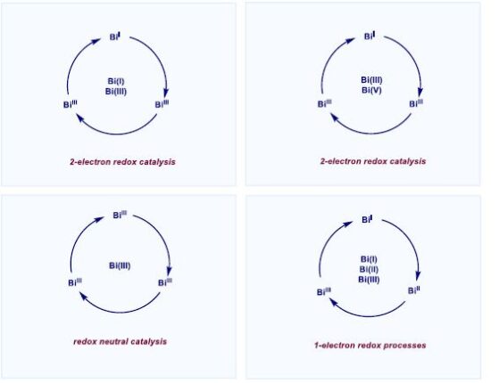 Josep Cornella – Princeton University Department of Chemistry
